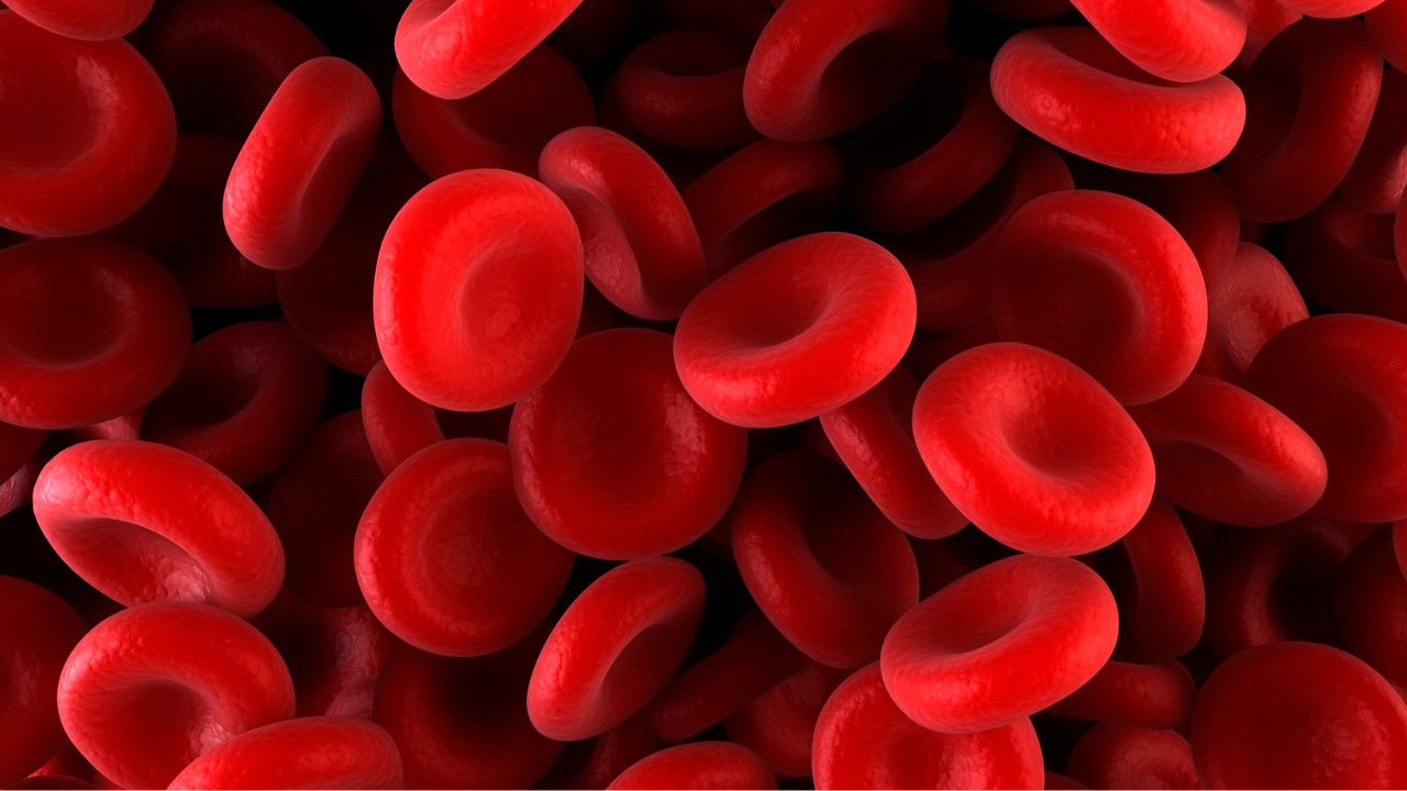 Invel Medical Technology - MIG3 Bioceramic far-infrared for Health ...